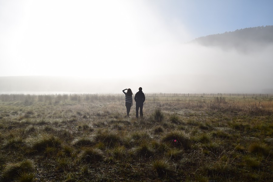 About the Enchanted Forests of Oaxaca (manual for walking in the clouds)