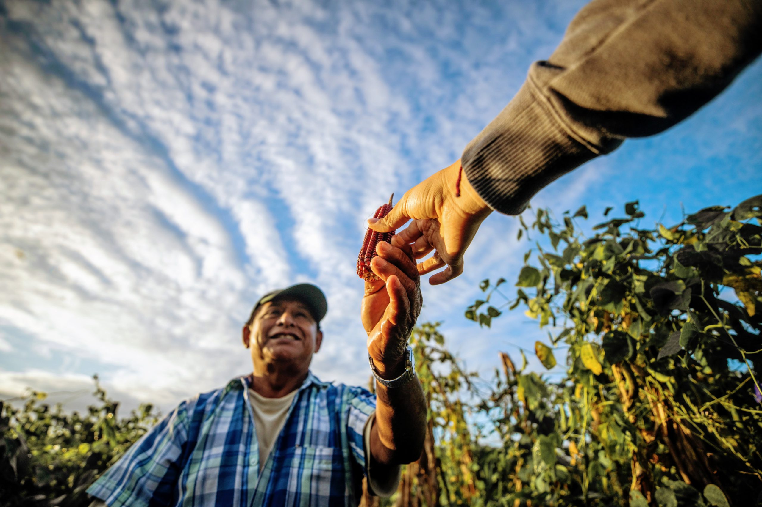 Why does community-based ecotourism contribute more to travel?
