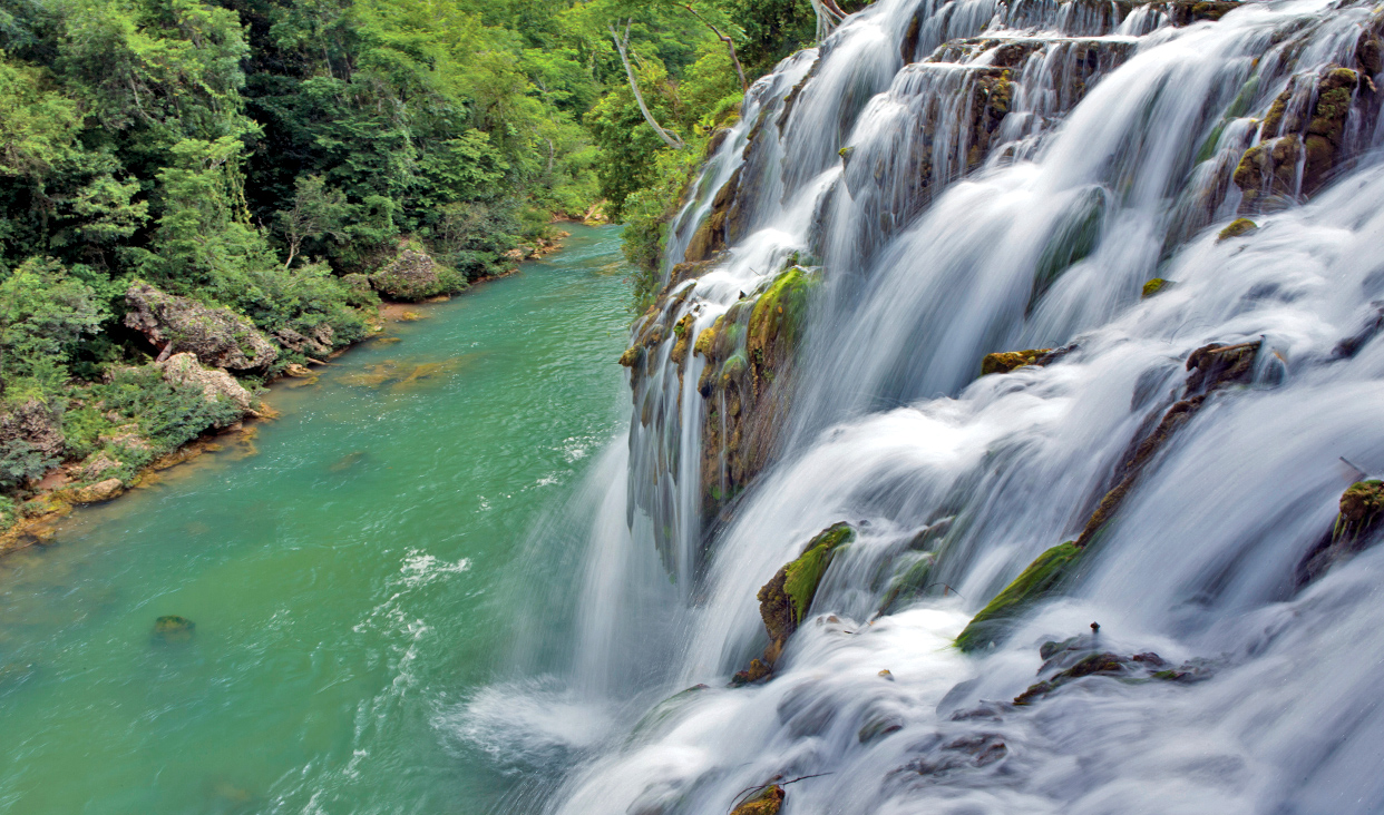 Montes Azules Biosphere Reserve, the most megadiverse in Mexico