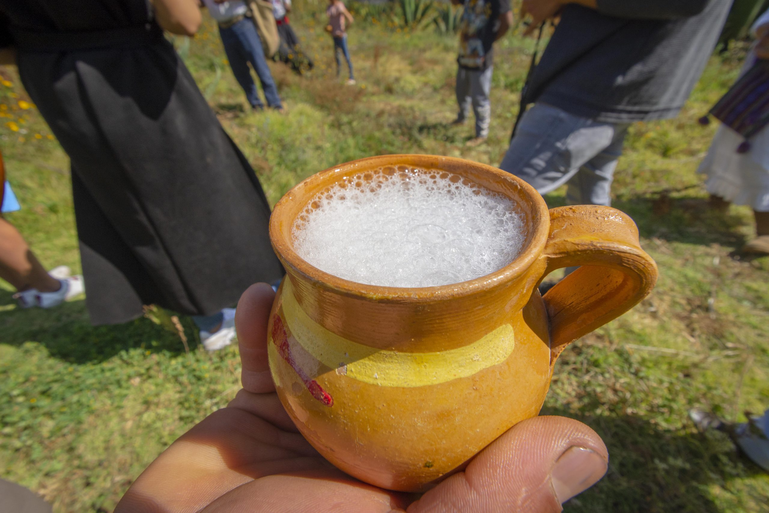 Five Routes to Elaborate Pulque, Beverage of the Aztec Gods