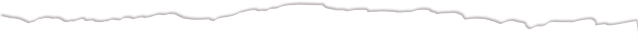 Environmental Impact Statements (EIS) in NSW: A Detailed Overview ...