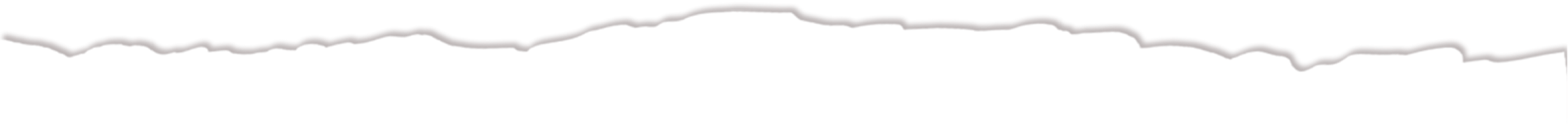 Environmental Impact Statements (EIS) in NSW: A Detailed Overview ...
