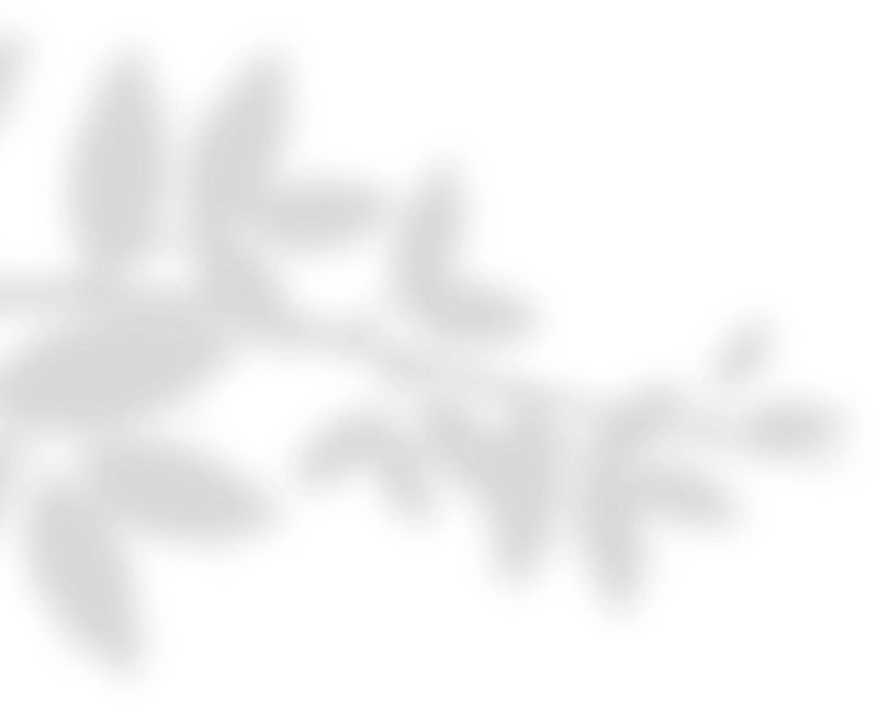 Environmental Impact Statements (EIS) in NSW: A Detailed Overview ...
