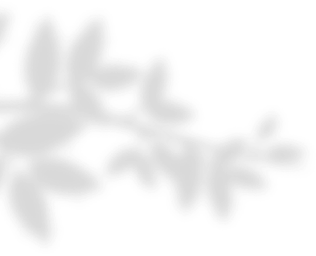 Review of Environmental Factors (REF): A Comprehensive Guide by Access Ep