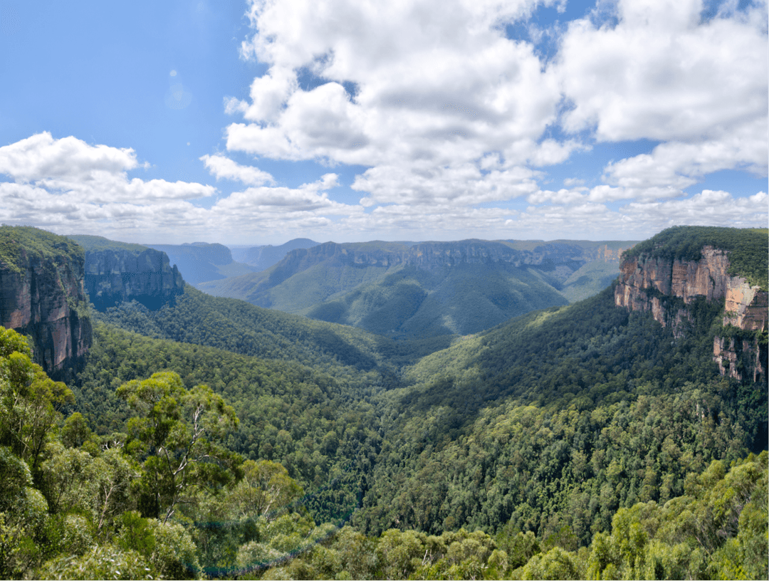 Environmental Impact Statements (EIS) in NSW: A Detailed Overview ...