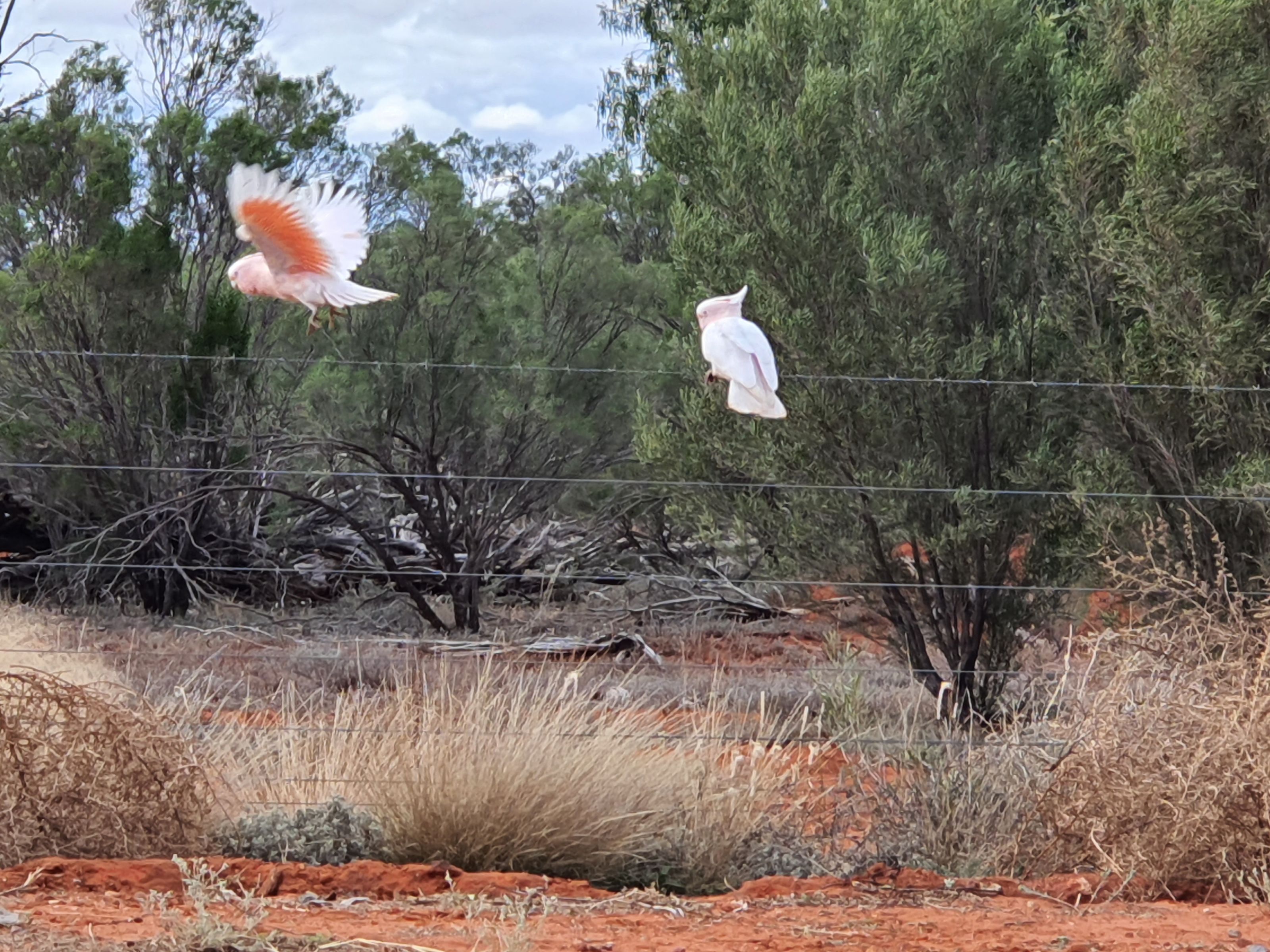 Environmental Impact Statements (EIS) in NSW: A Detailed Overview ...