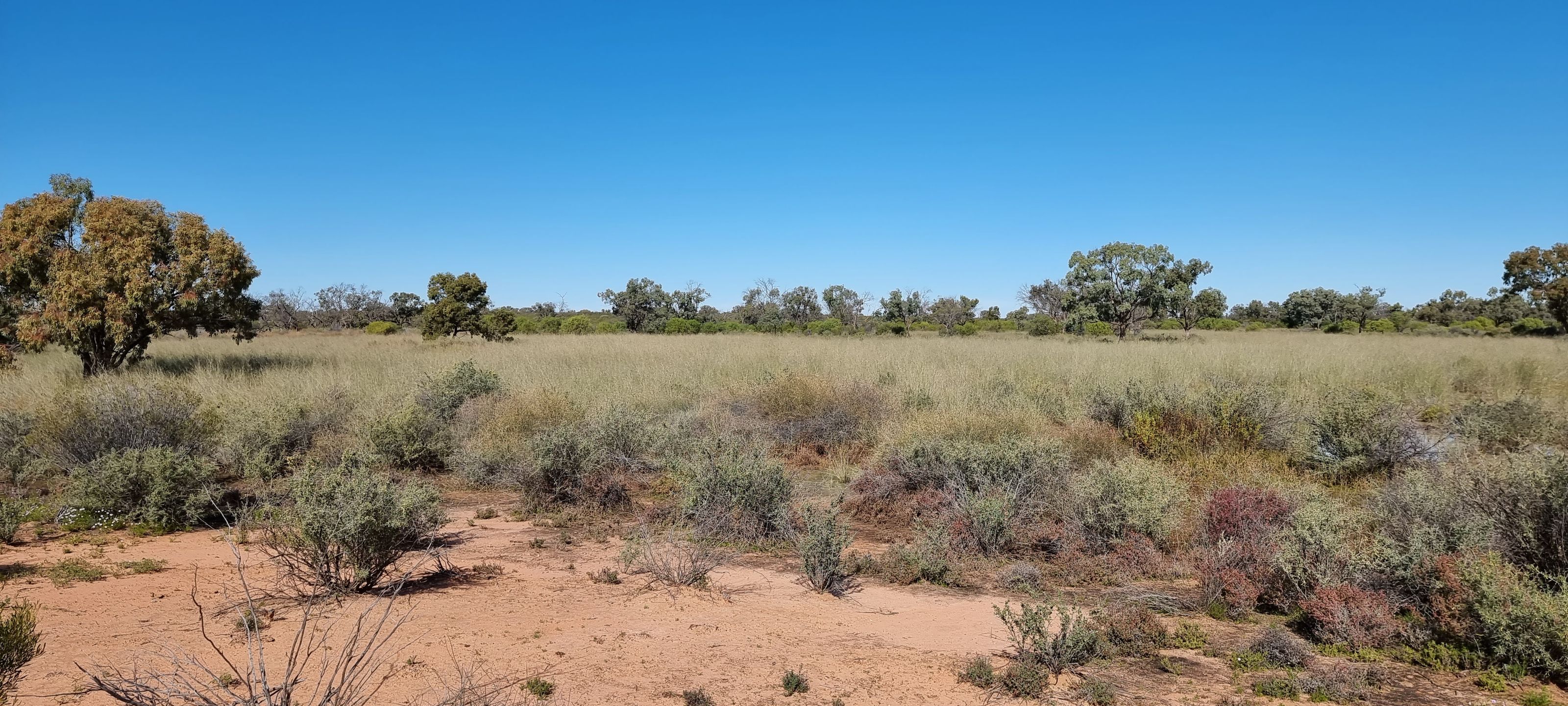 NSW Statement of Environmental Effects: Your Ultimate Guide | Access Ep