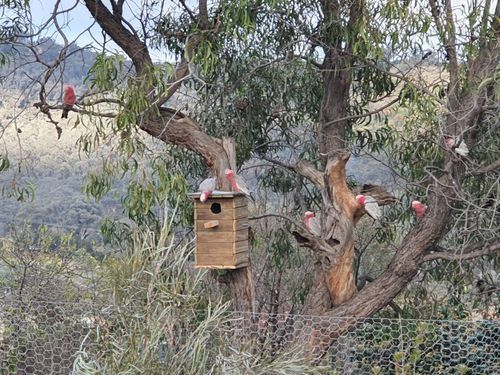 NSW Statement of Environmental Effects: Your Ultimate Guide | Access Ep