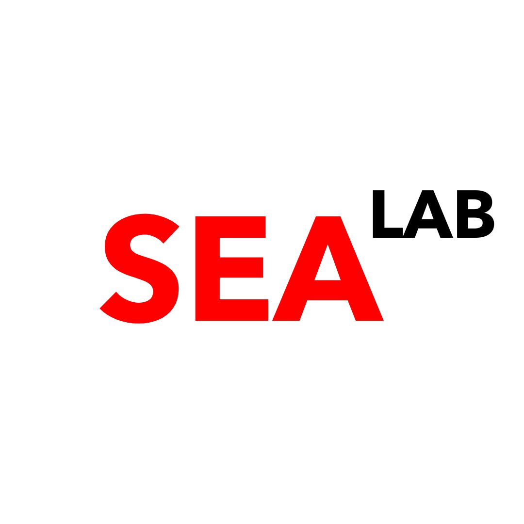 SEA Bridge - Help Innovators Build Regional Companies