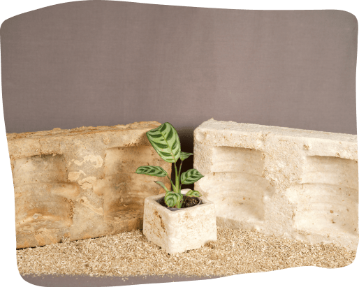 Ecoroots - Materials Made From Mycelium