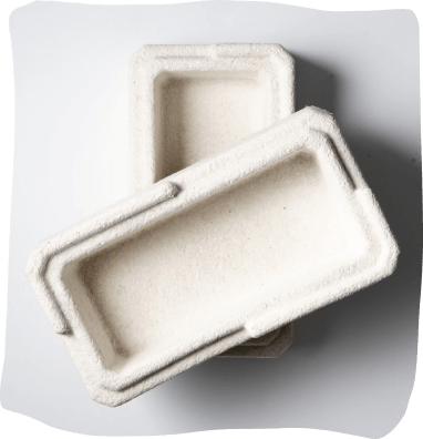 Ecoroots - Materials Made From Mycelium