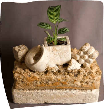 Ecoroots - Materials Made From Mycelium