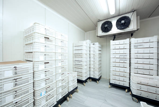 Cara Kerja Cold Storage