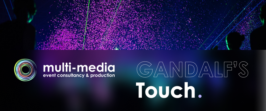 Multi-Media - Company