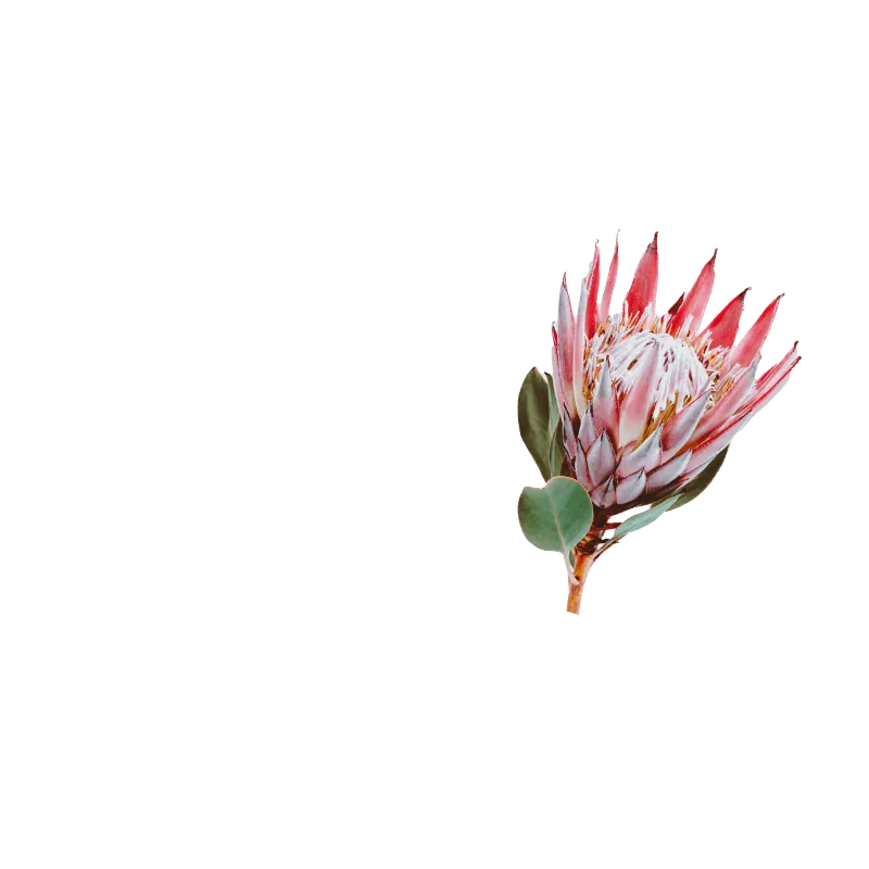 ARTENREICH Werbeagentur GmbH | Auffällig anders