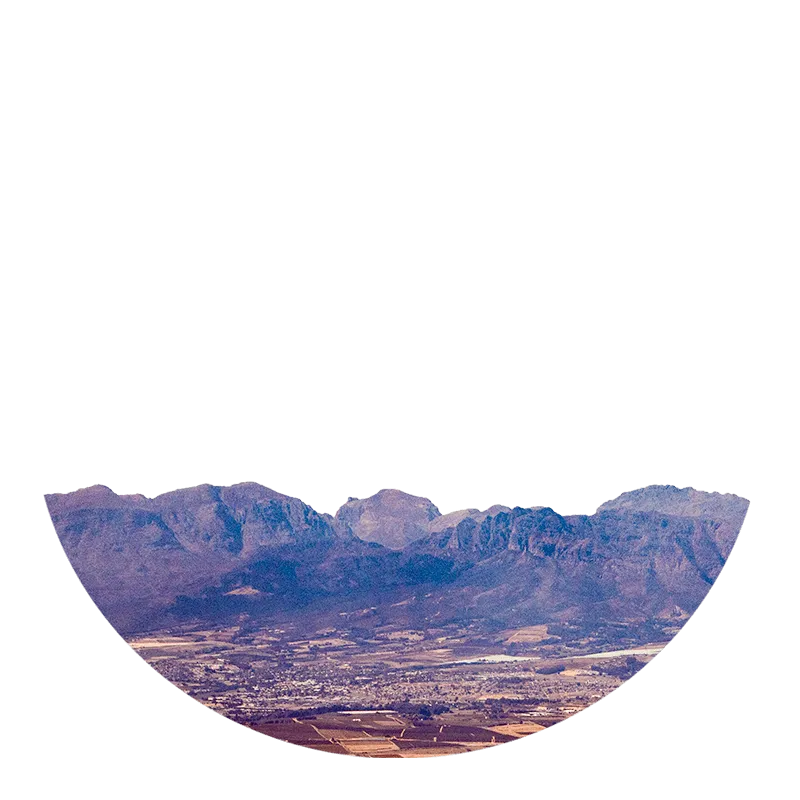 ARTENREICH Werbeagentur GmbH | Auffällig anders