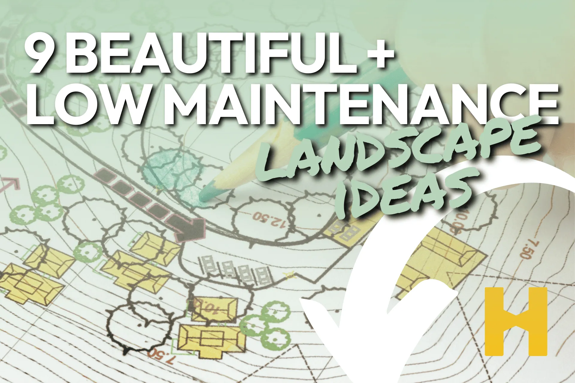 9 Low Maintenance Texas Landscape Ideas For Any Budget