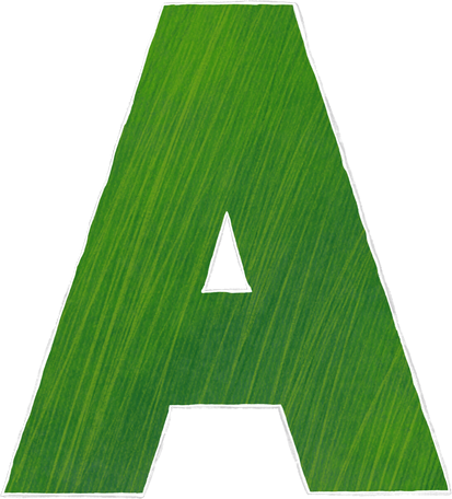 Atlas' play-based programs combine principles of ABA with early ...