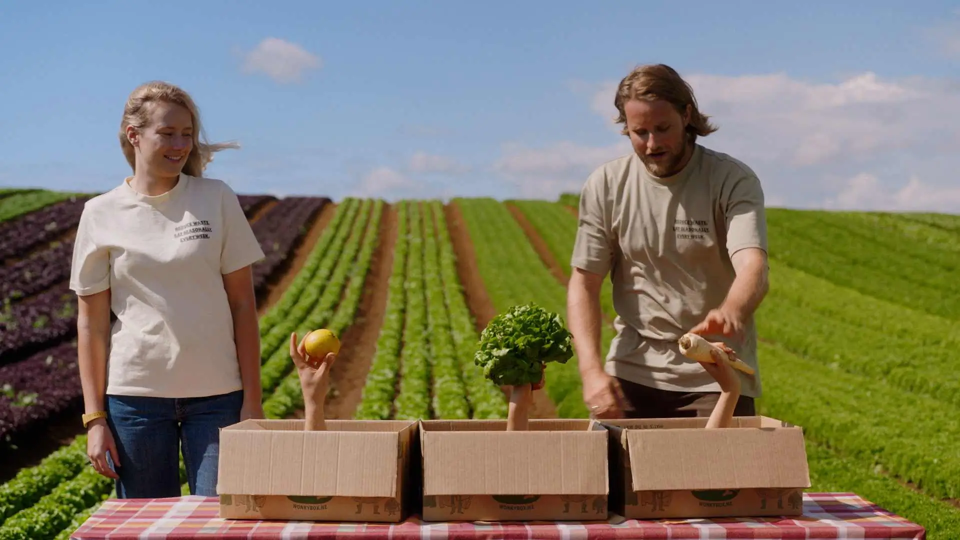 Wonky Box Case Study | ODV