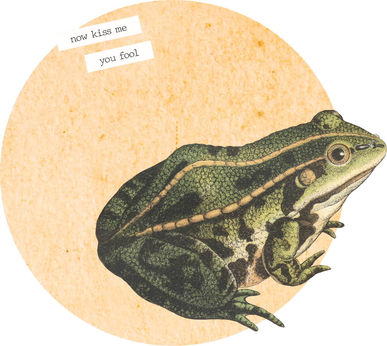 Summerthyme Studio - Creative Web Design for Artists & Musicians