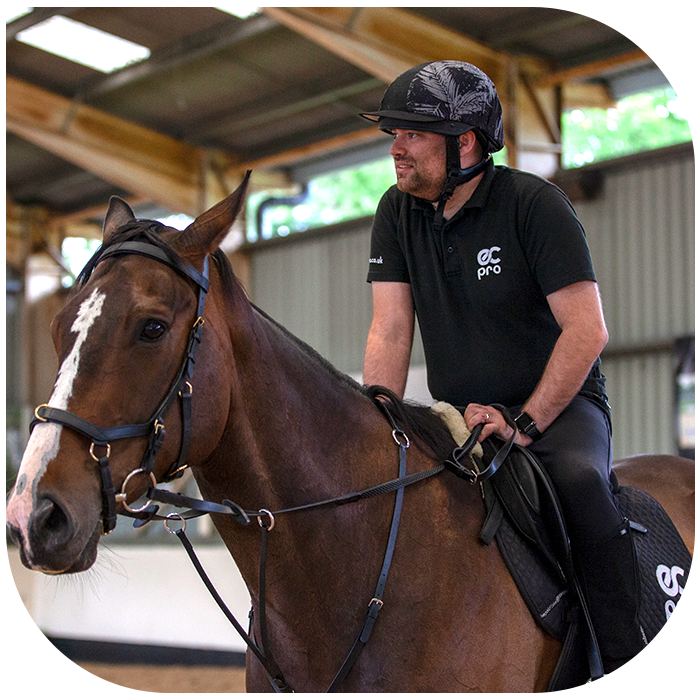 About Us | Best Software for Your Equestrian Business