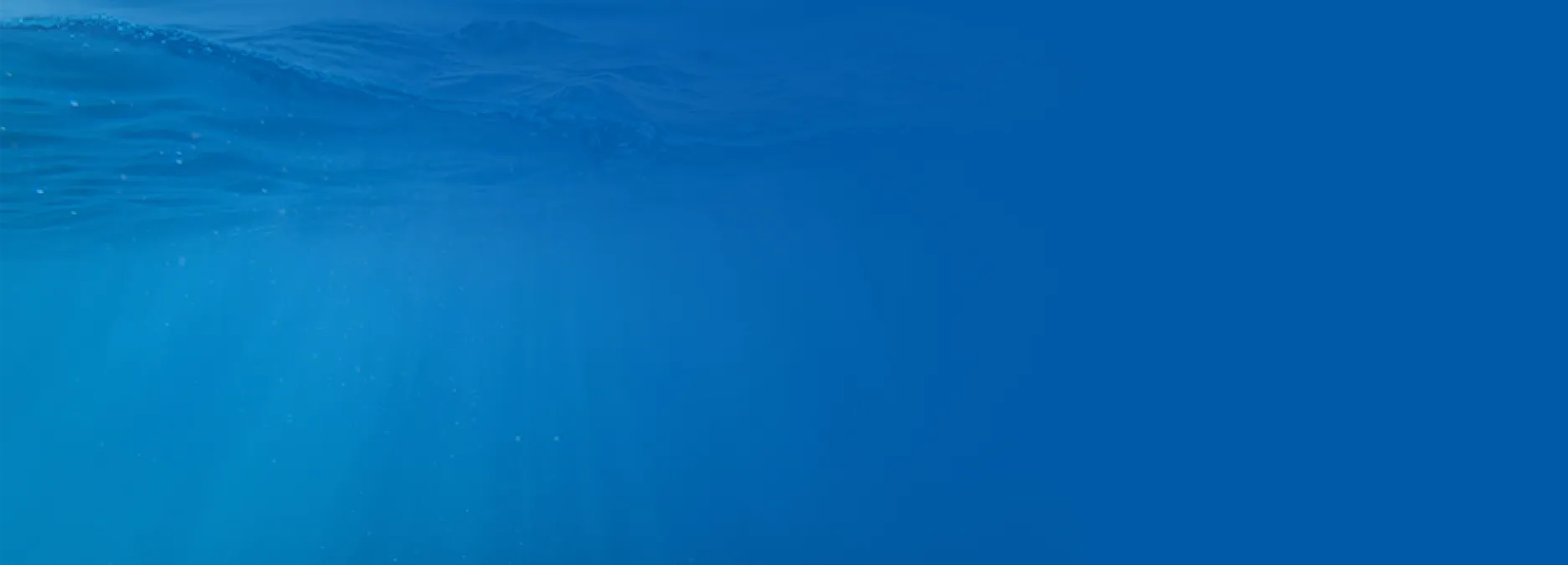 Ocean-Bound Plastic by Contempo | Custom Made Packaging Made Simple