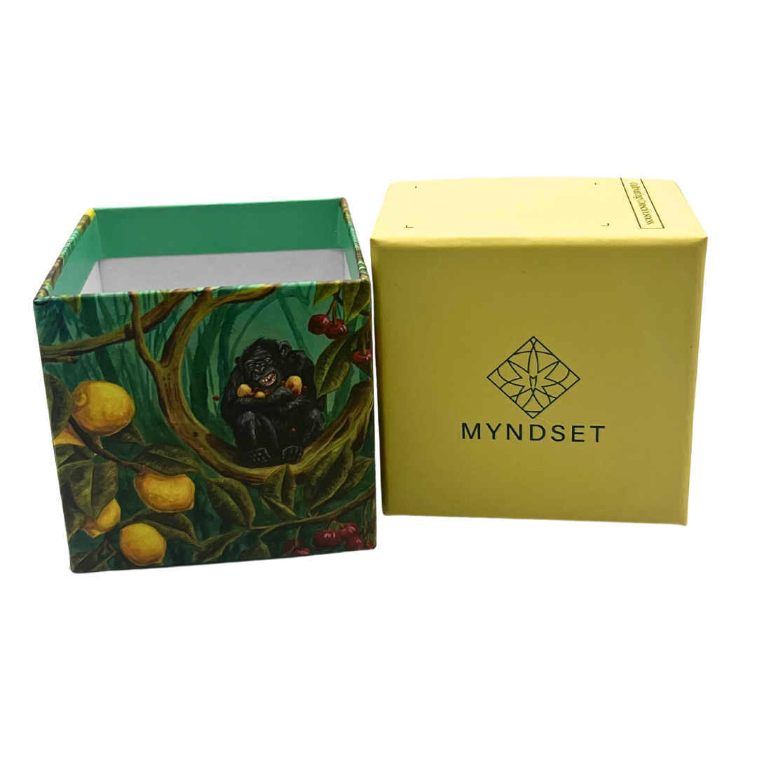 Custom Made Setup Boxes — Contempo Card