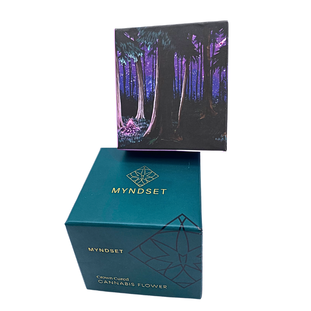 Custom Made Setup Boxes — Contempo Card