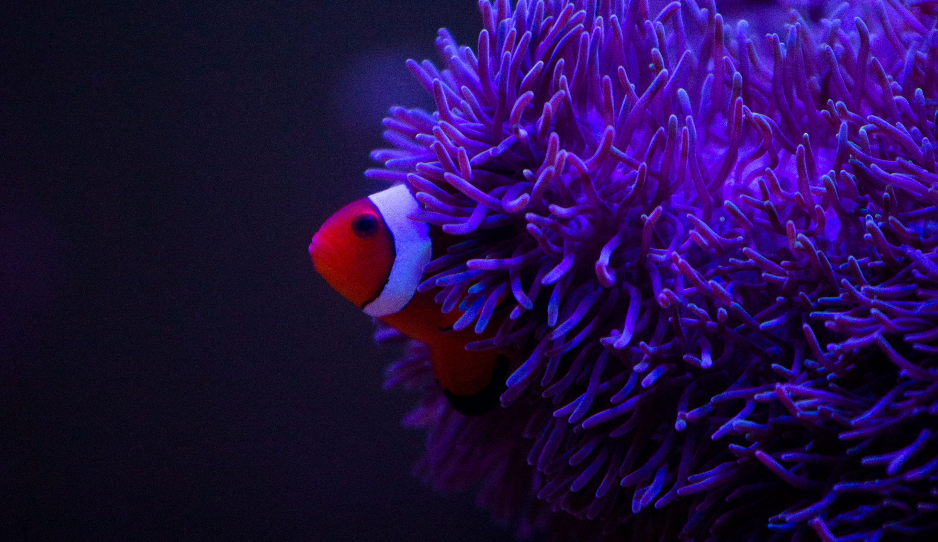 What is your Chemical Footprint? | RMT Insights