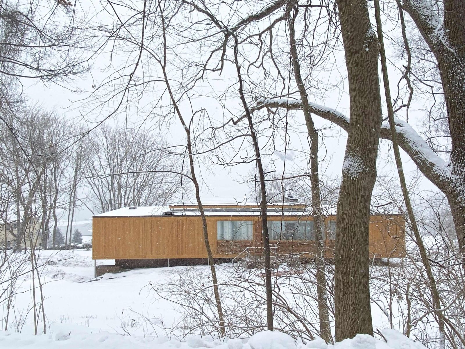 Philip Johnson Wolfhouse