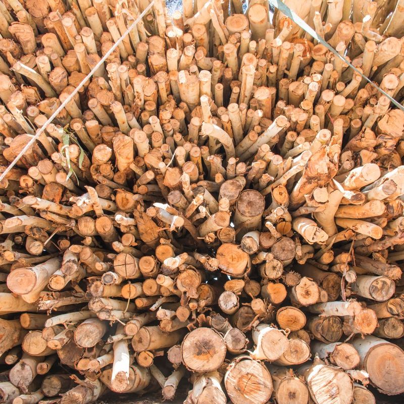 Timber Grading: Choosing The Right Timber