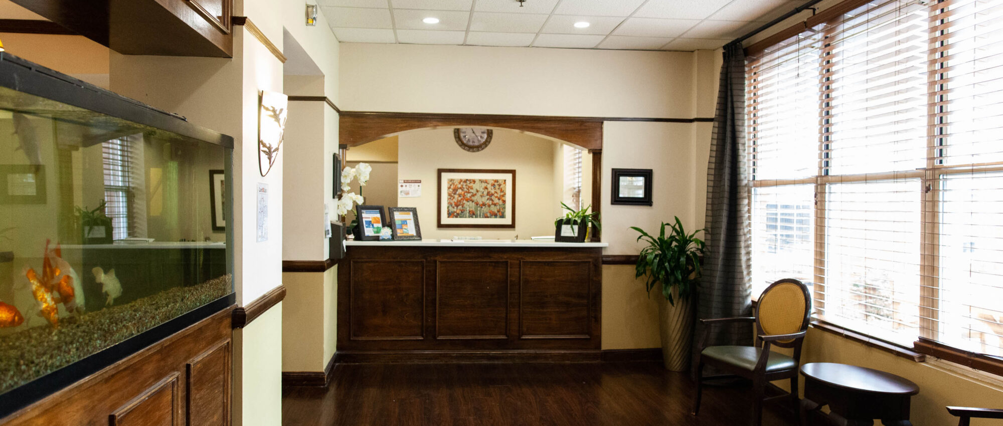Spring Hills Communities: Discover Excellence in Assisted Living