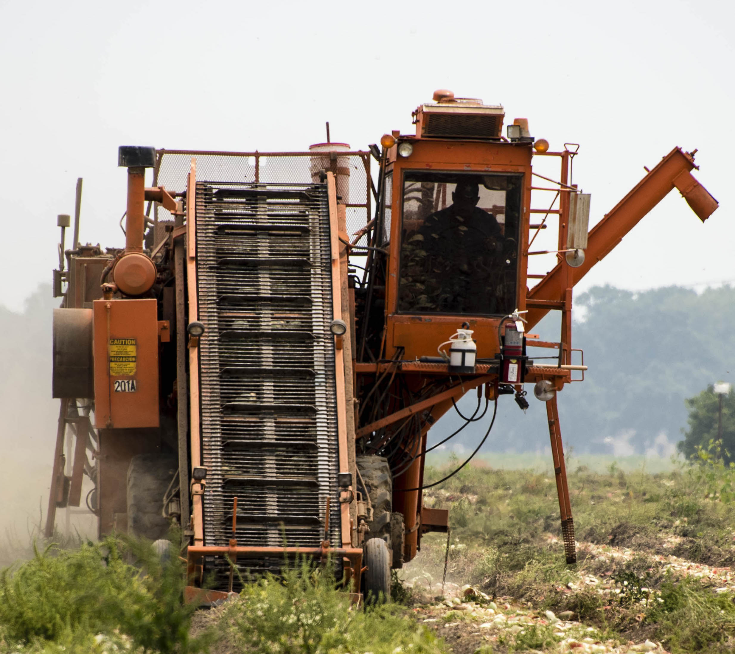 Patronage Program | Colusa-Glenn Farm Credit