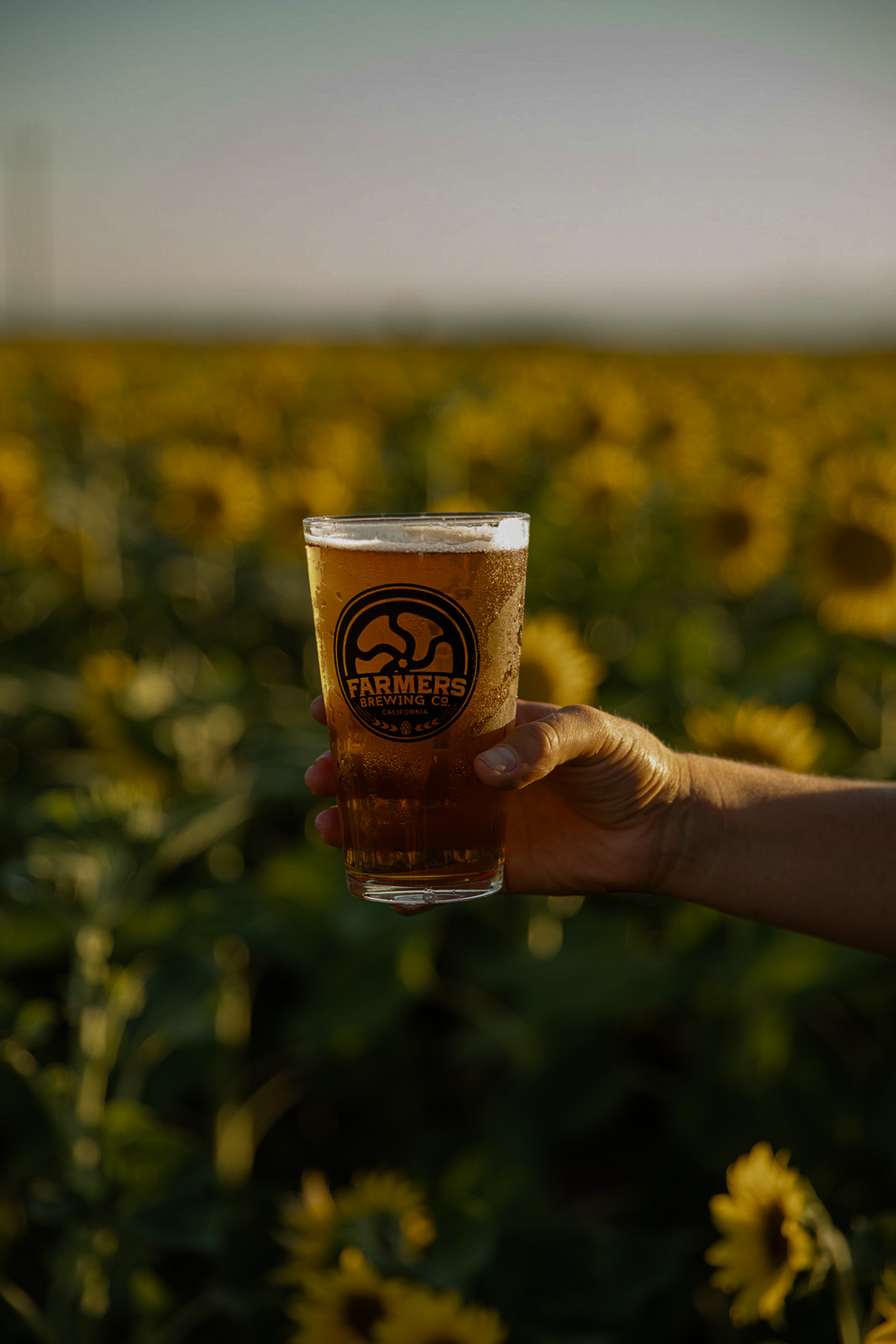 Member Highlights | Colusa-Glenn Farm Credit