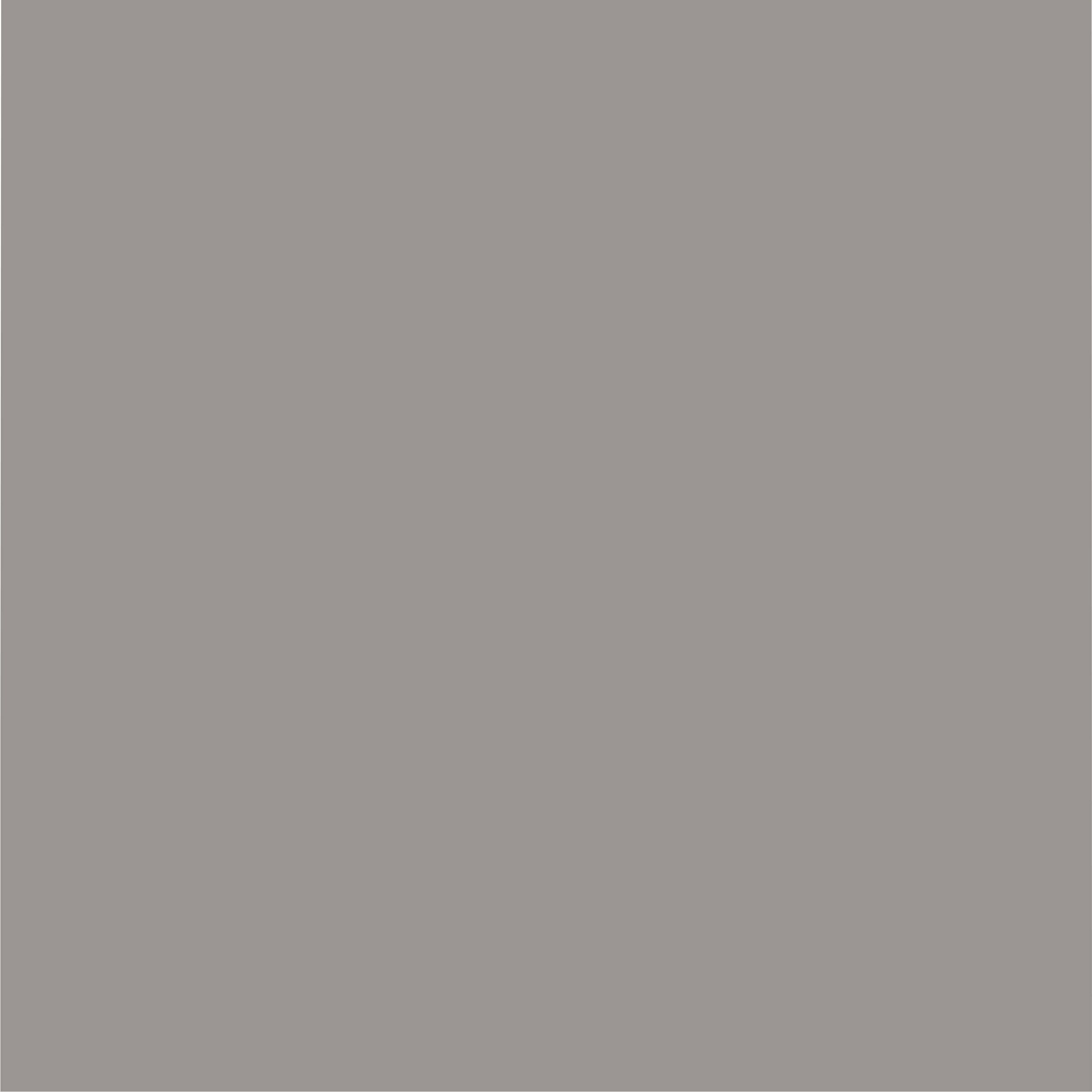 STUDIO by Bell Cabinetry & Design