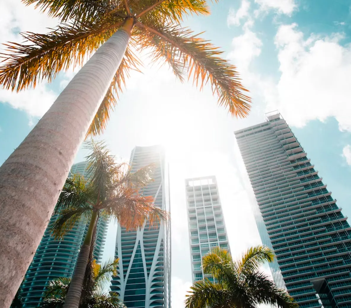 Where Liquidity meets Innovation - BayCrest