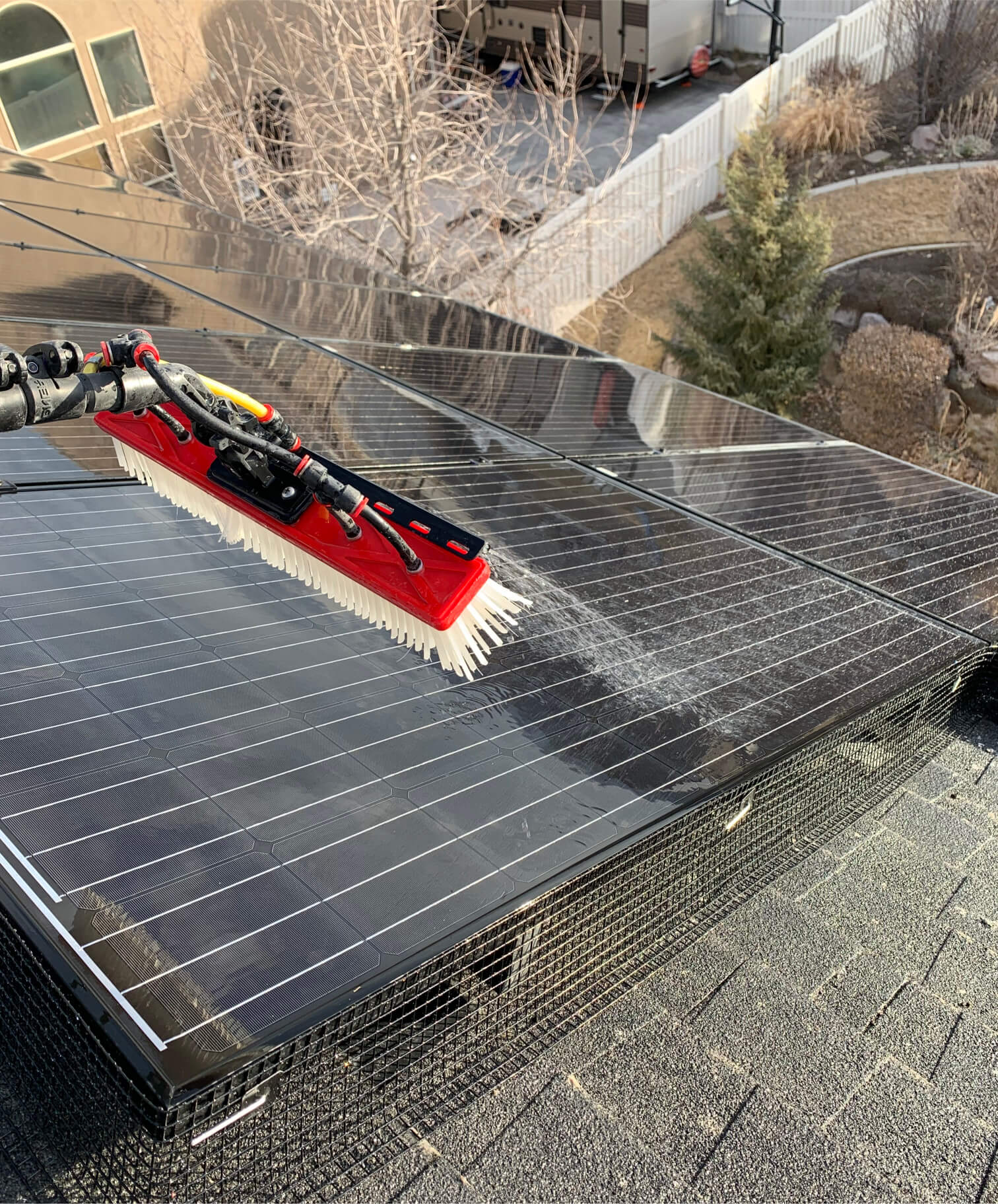 Professional Solar Panel Cleaning and Pest Removal