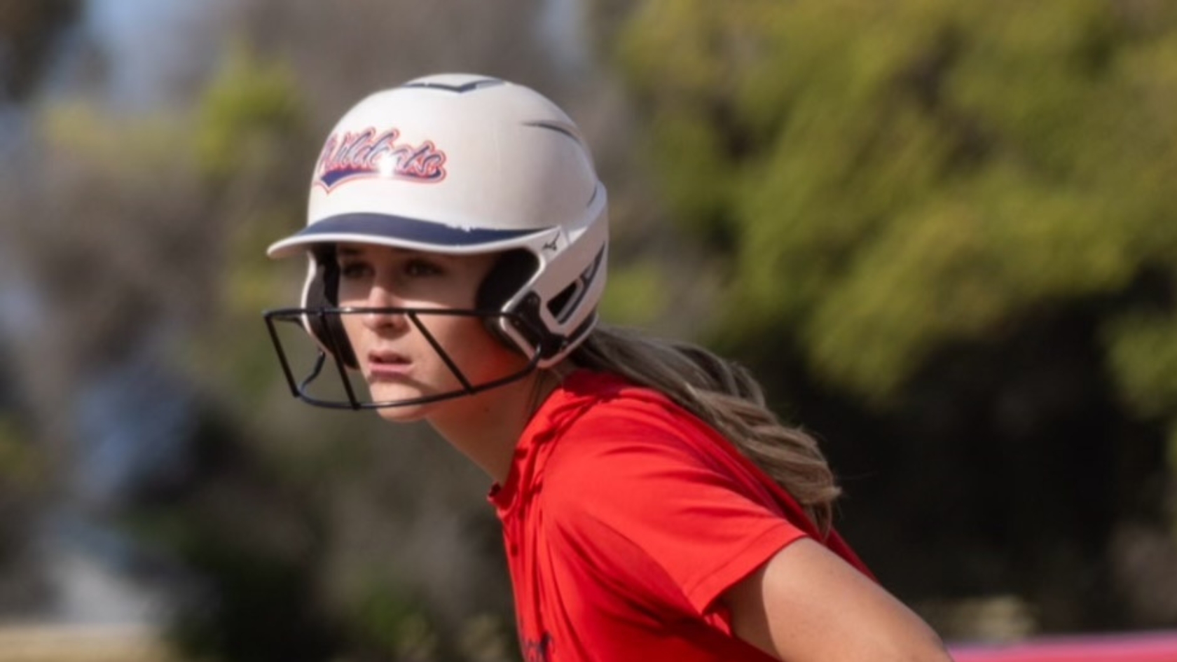 Wildcats Fastpitch - Travel Softball Organization