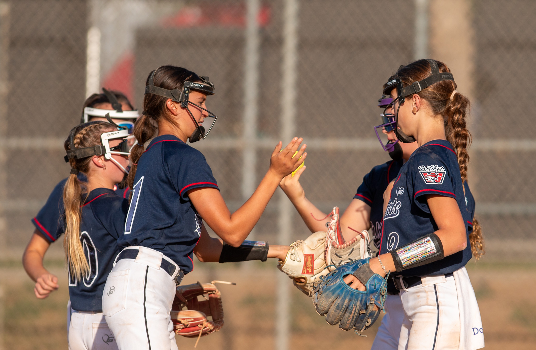 About - Wildcats Fastpitch