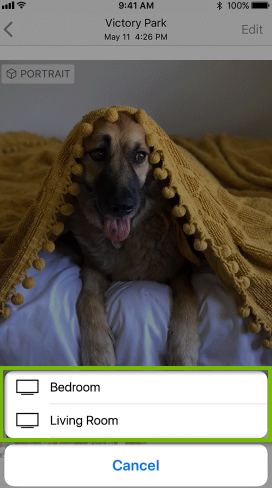 How to Cast Video from an iPhone or iPad to Apple TV