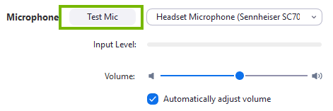 How to Test Out Zoom Audio Settings