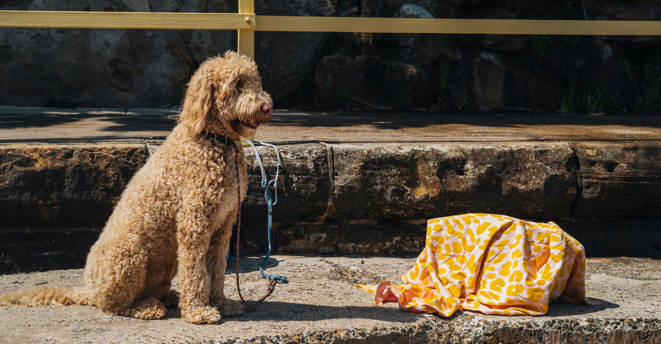 Location | Finn Manly