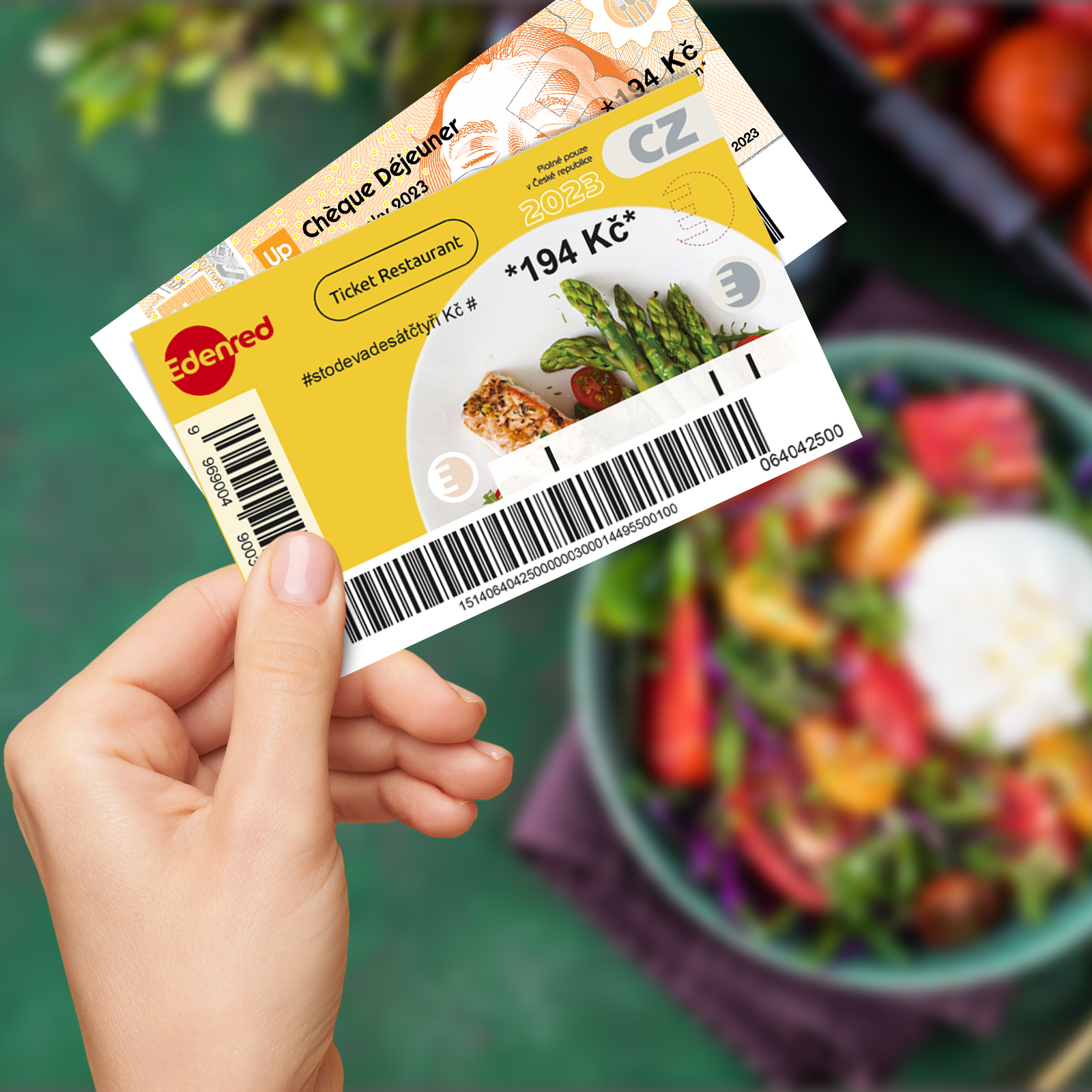 Meal vouchers guarantee the targeting of social benefits and control of ...