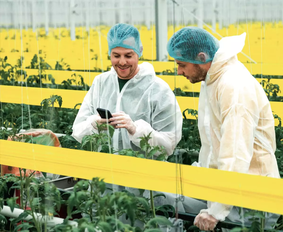 'Digitaal scouten over 5 jaar standaard in de groenteteelt'