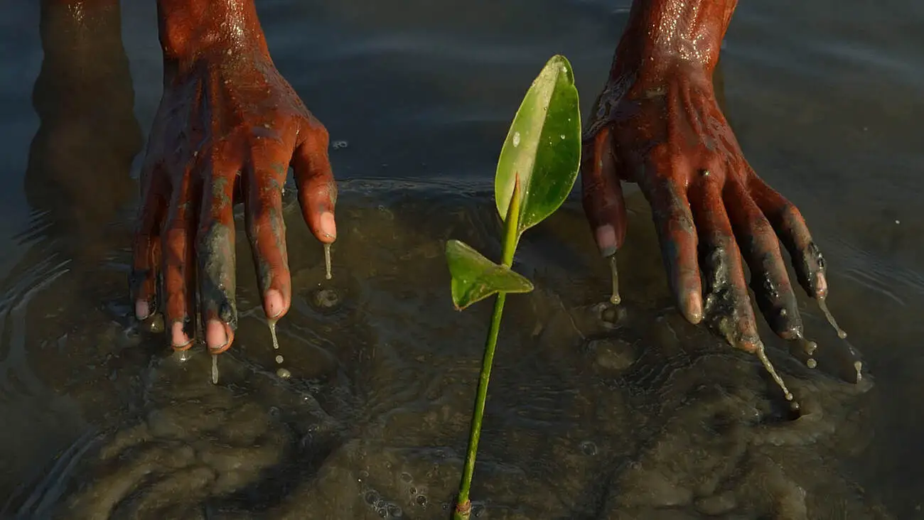 Policymakers - Fair Carbon