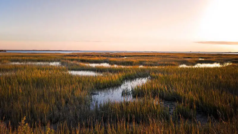 Resources - Fair Carbon