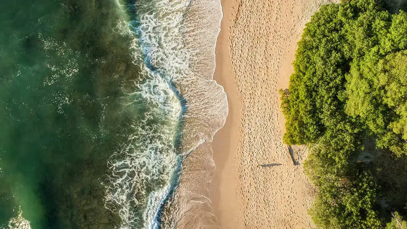 Resources - Fair Carbon