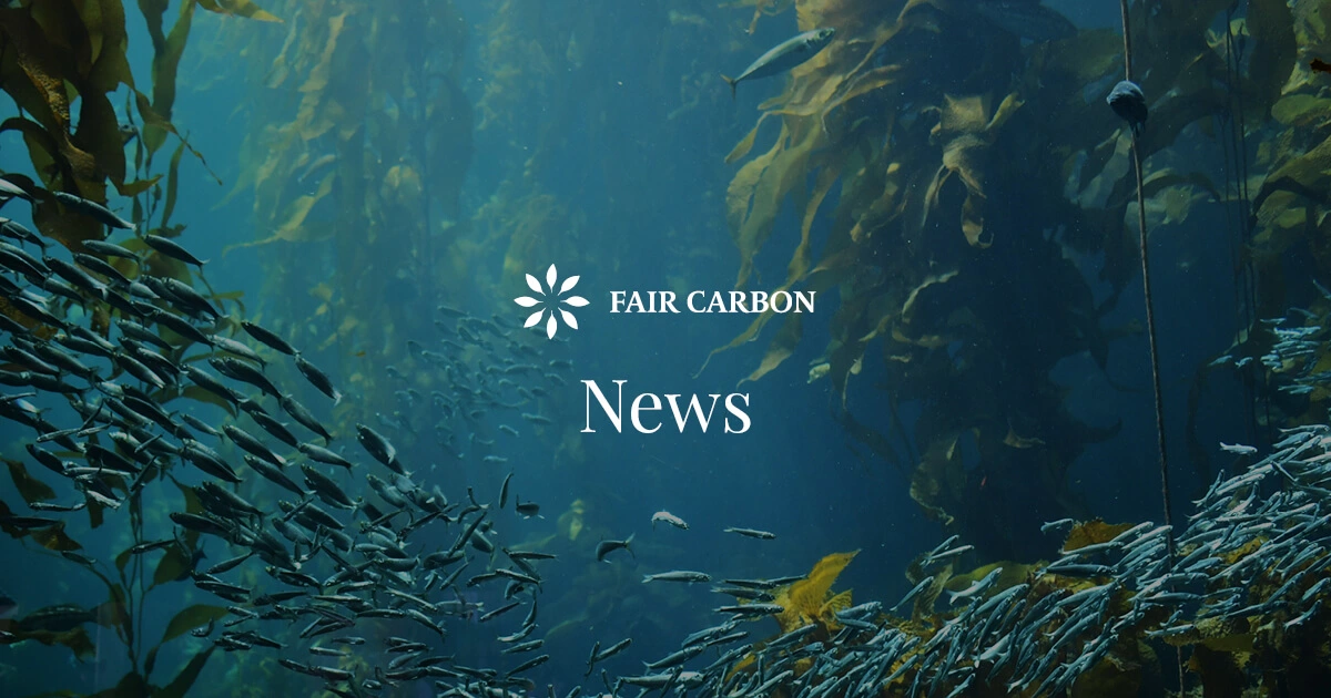 News - Fair Carbon