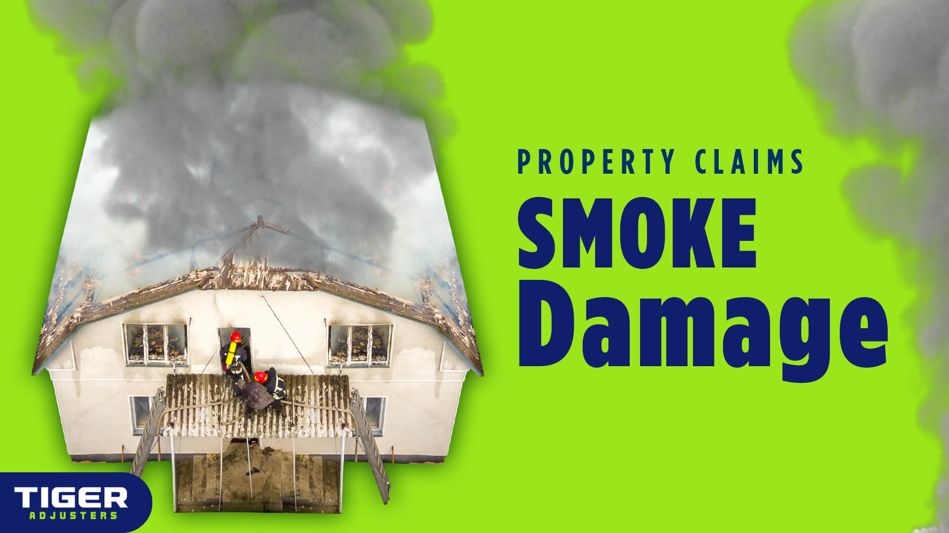 Tiger Adjusters Blog