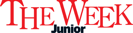 Social Marketing Agency | Pepper